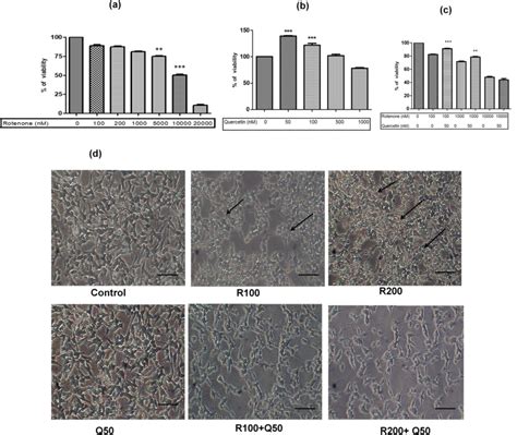 Quercetin Protects Rotenone Induced Toxicity In Human Neuroblastoma
