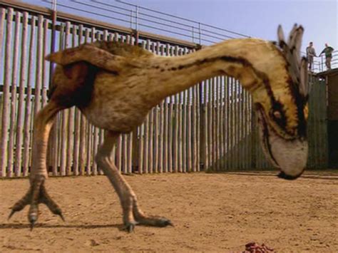 Phorusrhacos Prehistoric Park Wiki Fandom Powered By Wikia