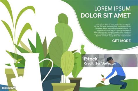 식물을 재배 하는 사람 냄비와 샘플 텍스트에 녹색 관 엽 식물 심기에 대한 스톡 벡터 아트 및 기타 이미지 심기 항아리 일러스트레이션 Istock