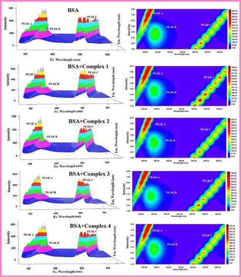Three‐dimensional Spectra And Contour Plots Of Bsa In The Absence And