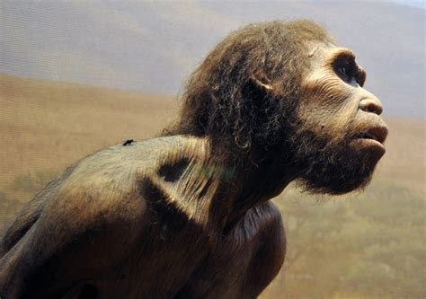 Early Homo Sapiens