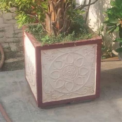 Rcc Cement Square Pots At ₹ 1000piece Cement Pots In New Delhi Id