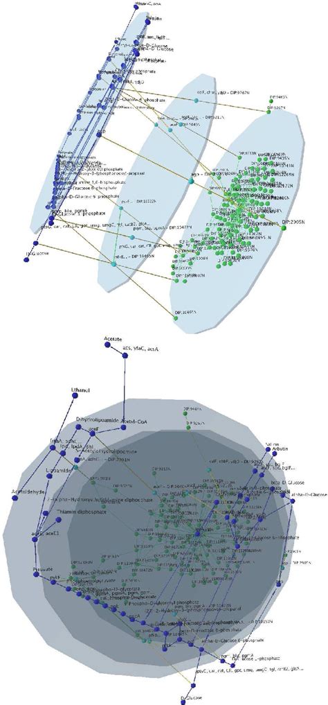 figure 1 from 2 5d visualisation of overlapping biological networks