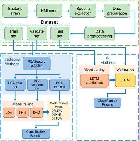 The Flowchart Of Ai Assisted Hmi Technology For Foodborne Bacteria