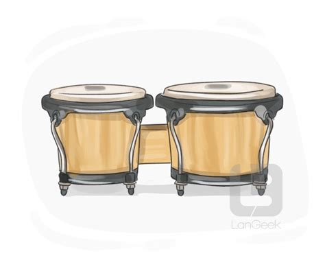 Definition And Meaning Of Bongo Drum Picture Dictionary