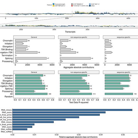 A Individual Feature Contributions Shap Feature Contributions Download Scientific Diagram
