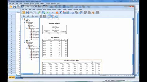 Calculating And Interpreting Cronbach S Alpha Using SPSS YouTube