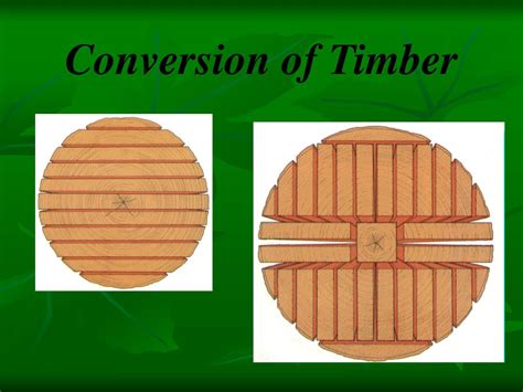 Ppt Conversion Of Timber Powerpoint Presentation Id664192