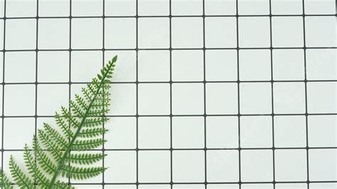 Green Leaf Tropical Leaves Rural Scenery Powerpoint Background For Free