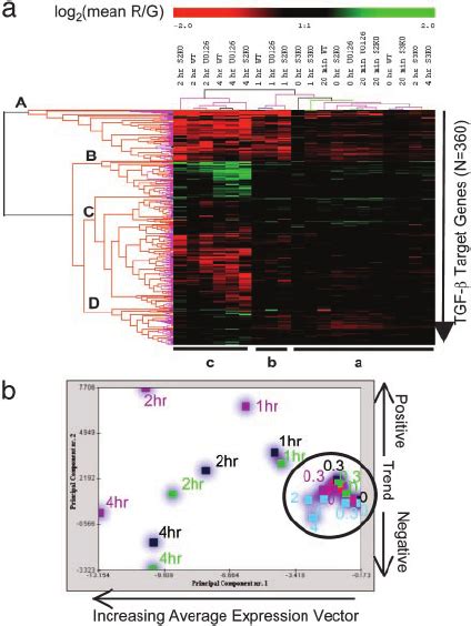 Effects Of Ablation Of Smad2 Smad3 And Erk Function On Gene