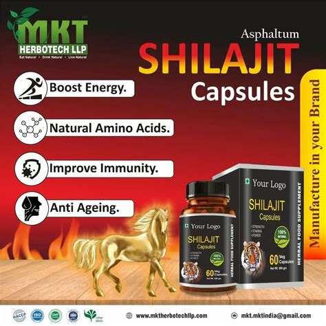 Baidyanath Shilajit Capsules 100 Capsuletablet At Rs 852bottle In