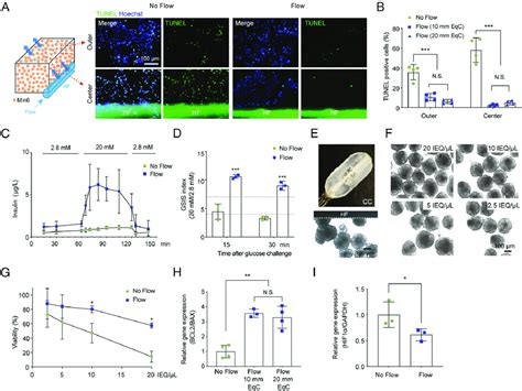 Cemed Shows Increased Viability And Insulin Secretion Sensitivity Of Download Scientific