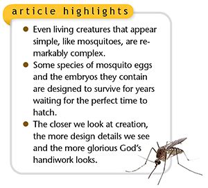 How Long Do Mosquito Eggs Take To Hatch They Usually Hatch In One To