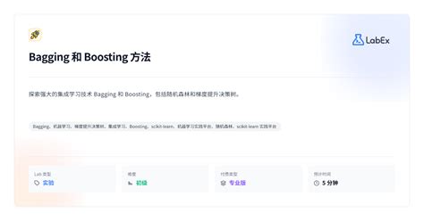 Bagging 和 Boosting 方法 Labex