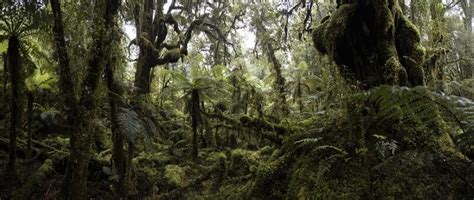 Scott Mcnab On Linkedin Ecommerce Specialist