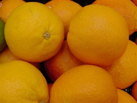 Orange Pictures Free Orange Picture 1911