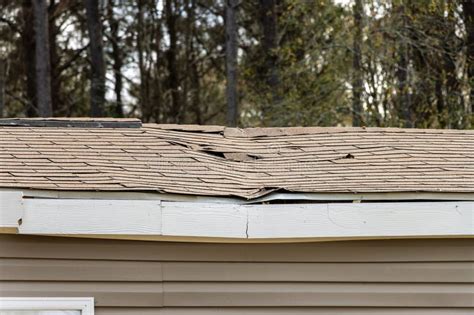 Roof Damage From Tree Falling Stock Photo Image Of Tree Roofer 303664146