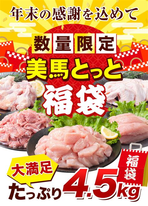 【楽天市場】【ふるさと納税】＜年末限定！＞ 鶏肉 美馬とっと 福袋 《12月上旬 1月中旬頃出荷》 数量限定 大容量 家族用 ファミリーパック