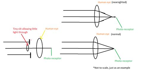 Imgur The Magic Of The Internet