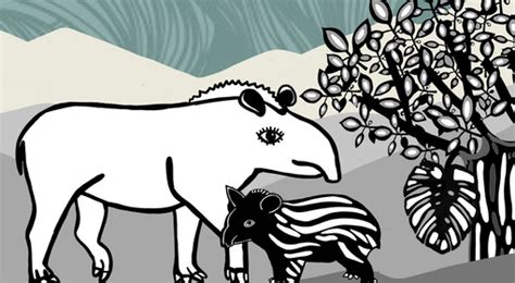 Canción De La Danta Maguaré Ministerio De Cultura De Colombia