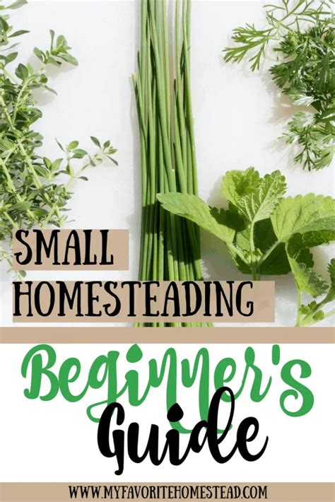 Small Homesteading The Beginners Guide