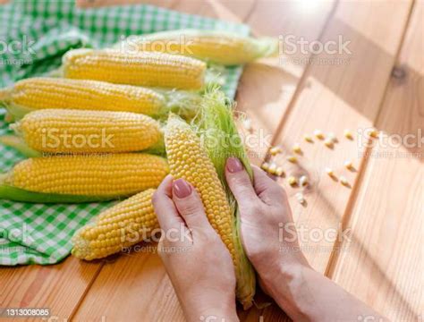 신선한 옥수수를 들고 있는 암컷손 소박한 나무 테이블에 옥수수에 신선한 옥수수 클로즈업 0명에 대한 스톡 사진 및 기타 이미지