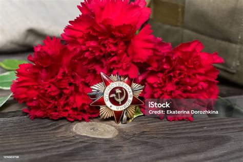 승리의 날붉은 카네이션과 나무 배경에 러시아 비문 애국 전쟁과 붉은 별의 순서 5 월 9기념일에 축하합니다 인사말 카드복사 공간 5월에 대한 스톡 사진 및 기타 이미지