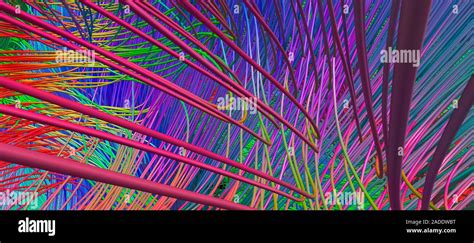 Diffusion Tensor Imaging Dti Scan Reconstructed Brain White Matter Fibres Of The Internal