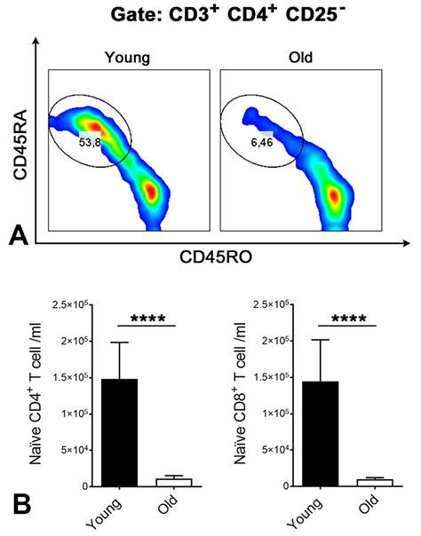 Increased Immunosenescence In Older Volunteers A Gating Strategy Used