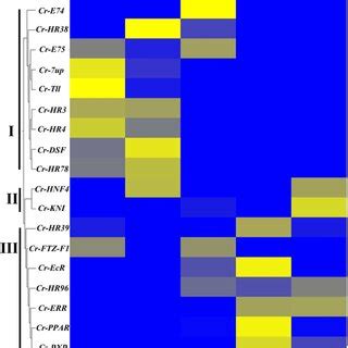 Heat Map Representing The Hierarchical Clustering Of Features Of