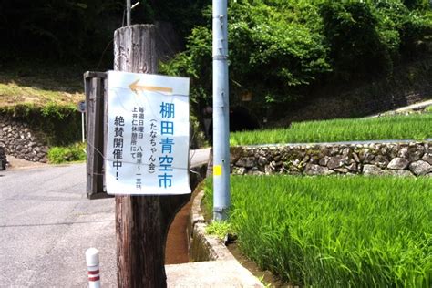 広島ドライブ日記 広島からどこかへ。 井仁の棚田