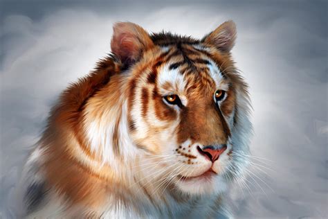 Golden Tiger Wallpaper Hd