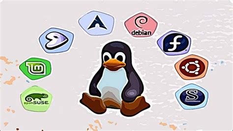 Mejores Distribuciones De Linux Para En 2022 Infoteknico
