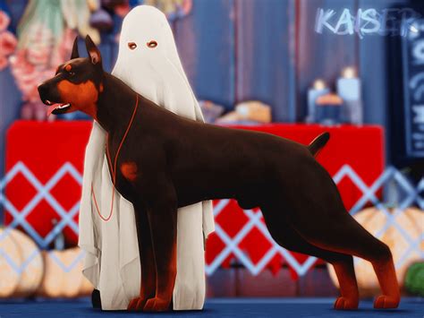 October 22 Fci Its Fright Night Class Winners R