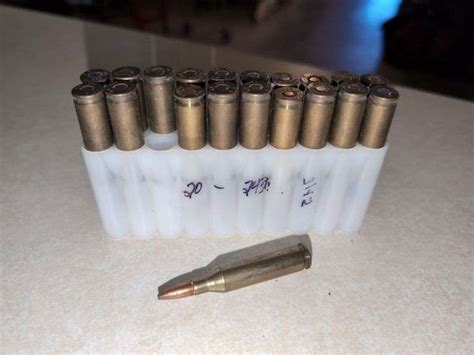 20 Rnds 243 Win Ammo Isabell Auction