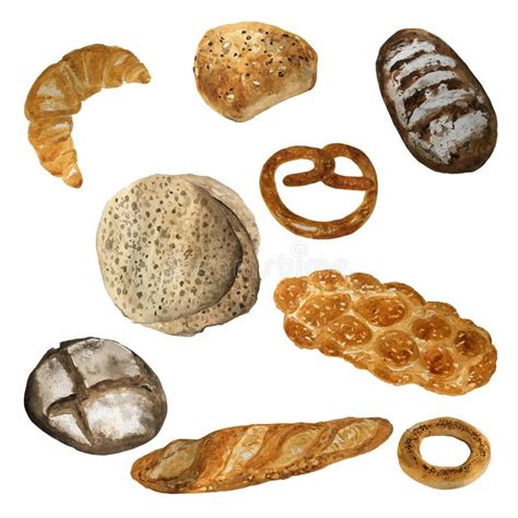 Pan Sistema Del Dibujo De La Acuarela Del Producto De La Panadera