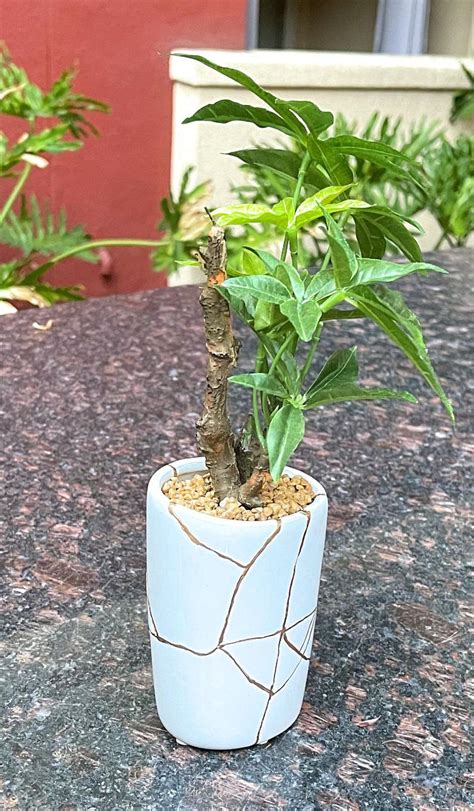 Kintsugi Planter And Artificial Plant White Gold And Green Etsy