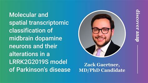 Molecular And Spatial Transcriptomic Classification Of Midbrain Dopamine