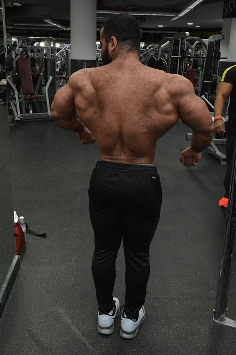 Muscle Lover The World Of Bodybuilders Ahmed El Wardany