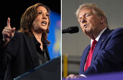 Final Harris Vs Trump Polls Whos Leading The 7 Swing States Before