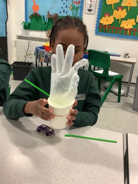 Hollinwood Academy Science Week 2023