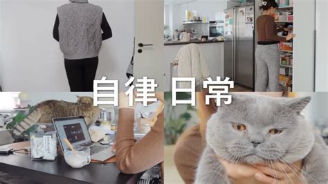 生活vlog｜33岁独居生活 自律的晨间日常 每天都不愧对身体 吃好喝好有力气工作 Youtube