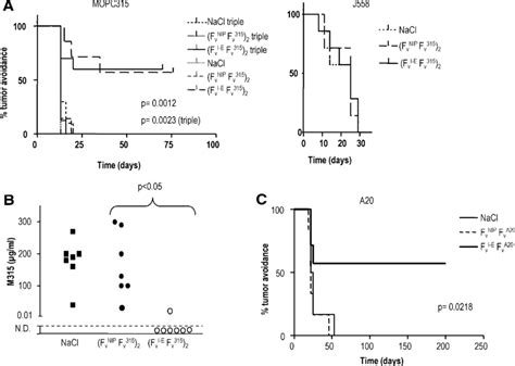 Dna Vaccination With Targeted Vaccine Constructs Induces Protection To