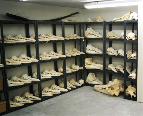 Yummy Skull Bread Rforbiddensnacks