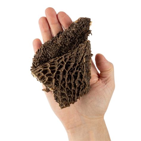 Рубец говяжий 50 г Laiky