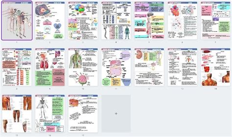 Lvn School Nursing Cheat Sheet Newborn Nursing How To Pass Exams