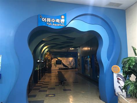 울산남구도시관리공단 고래생태체험관에는 돌고래 친구들뿐만 아니라 어류 수족관에서 다양한 물고기들도