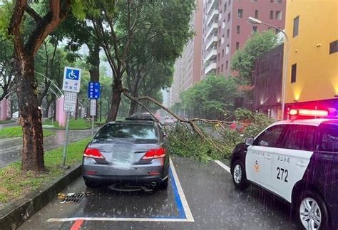 午後大雷雨釀災！台中路樹倒塌擊中1小客車 太原路一度封閉 社會萬象 要聞 Nownews今日新聞