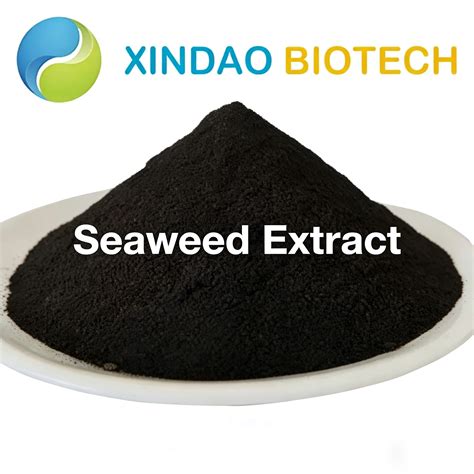 Wholesale Premium Seaweed Extract Manufacturers And Suppliers Xindao
