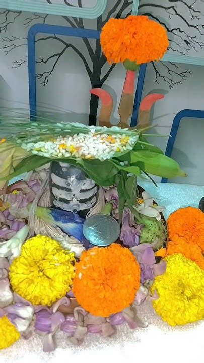 বাড়িতে শিবলিঙ্গ পূজায় কি কি করবেন না। Shiv Mahakal Harharmahadev
